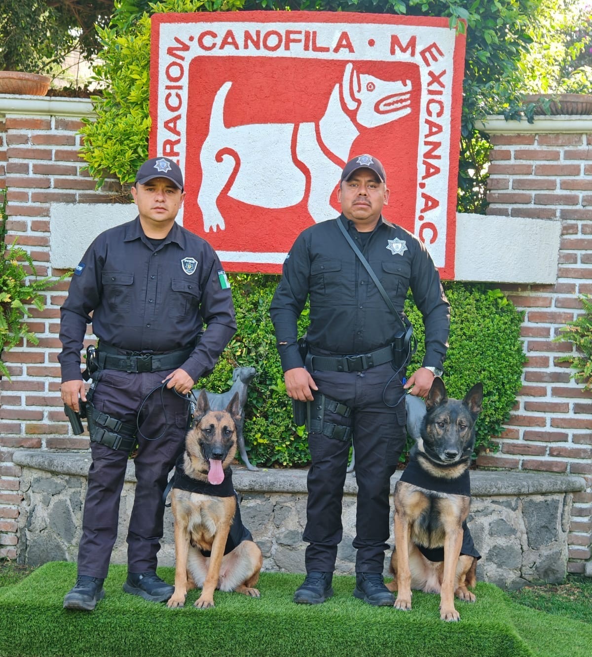 Federación Canófila Mexicana Reconoce A Binomios Caninos De Policía